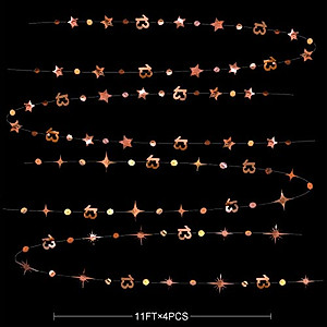 Rose Gold 13th Birthday Decorations Number 13 Circle Dot Twinkle Star Garland Metallic Hanging Streamer Bunting Banner Backdrop for Girls 13 Year Old Birthday Thirteen Official Teenager Party Supplies