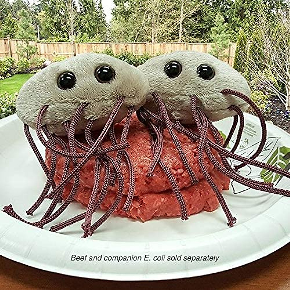 GIANTmicrobes E. Coli Plush – Learn About The Importance of Gut Health and Food Safety with This Unique Fun Gift for Families, Teachers, Chefs, Doctors, Gastroenterologists, Students and Scientists