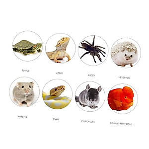 GREENADSCAPE 1pc Pet Heating Mat Reptiles Hermit Crab Tank Tortoise Heat Pad Dog Heated Bed Reptile Supplies Warming Snake Enclosure Accessories Heater Pet Warmer Mat Reptile Heat Lamp Animal