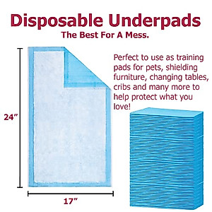 Dealmed Standard Non-Sterile Medical Underpads, 100 Count Disposable 2-Ply Tissue Fill, 24" x 17", Blue, 100 Count, Perfect for Pet Pads, Furniture Protection and More, 100 Count (1 Pack)