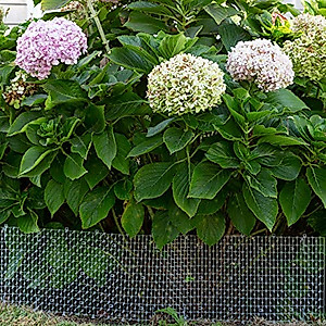 Ultragica Cat Scat Roll - Dog Scat Roll - Plastic Pet Training Mat - 6.5 feet - Keep Dogs Off Couch - Cat Spike Mat - Cat Deterrent- Cat Off Couch- Pet Off Couch- Pet Off Furniture