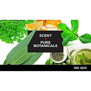 Beast Tingle Shampoo Refill Pouch, 16oz - Cleansing & Energizing, Ginseng, Caffeine, Tea Tree, Peppermint & Eucalyptus Oils (16 oz)