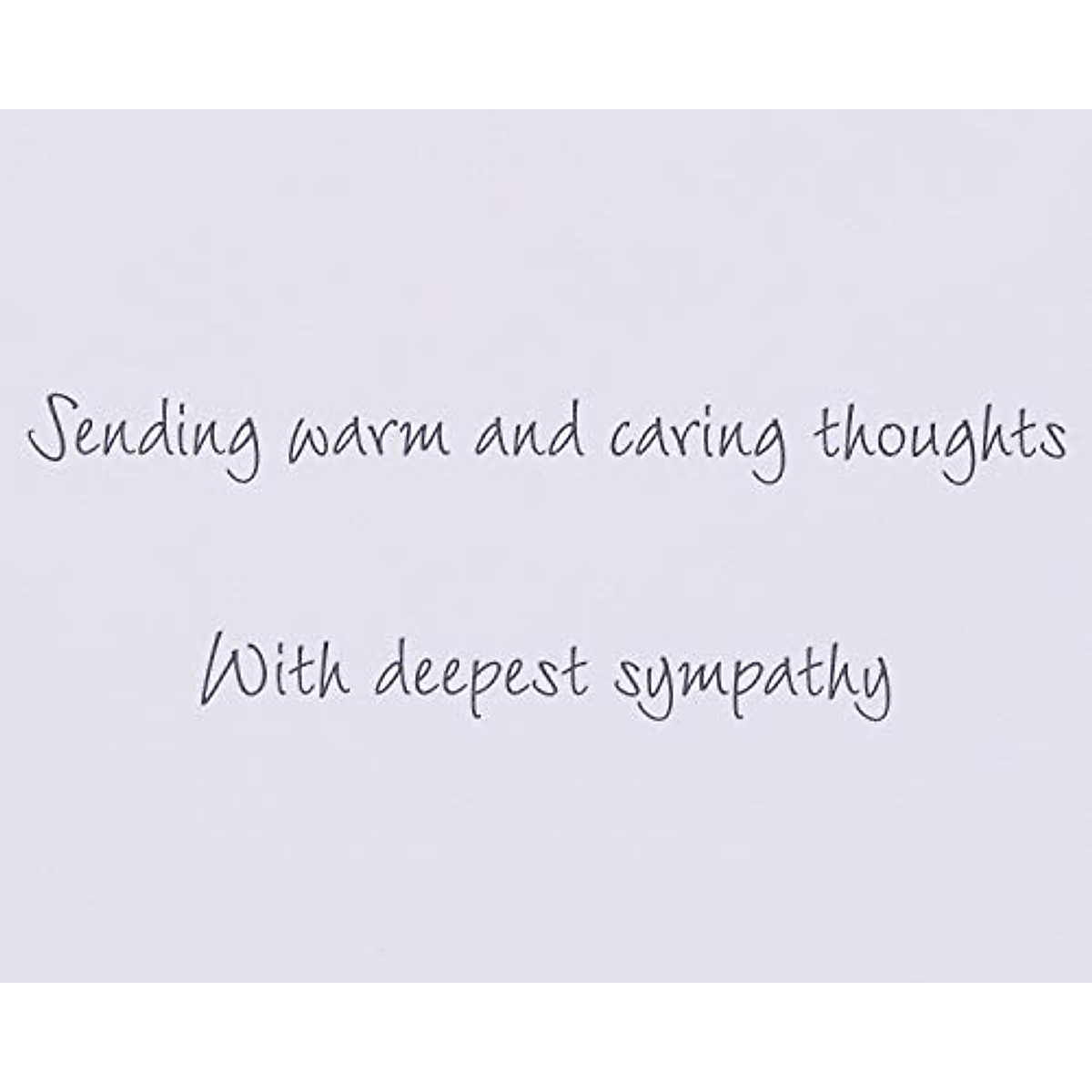 Papyrus Sympathy Card (Warm and Caring Thoughts)