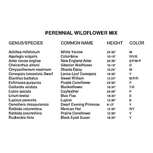 Non GMO Bulk All Perennial Wildflower Seed Mix (1/2 Lb) 188,000 Seeds