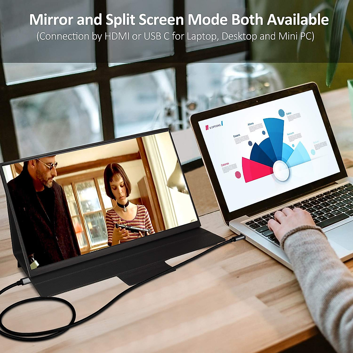 ZSCMALLS 100% sRGB Portable Monitor FHD IPS Ultra Slim&Lightweight Metal Frame 15.6'' HDR 1080P HD Eye Care Screen USB C Gaming Monitor for Laptop/PC/Cellphone/Switch/PS3-5/Xbox/Raspberry Pi