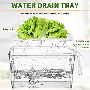 Blushtier 4 Pcs Fridge Organizer Bins with Drain Tray and Lid Handle Plastic Stackable Timer Keep Fresh Sealed Food Storage Container for Vegetables Fruit Salad Lettuce, 10 x 5.3 x 5.3 (Drain Tray)
