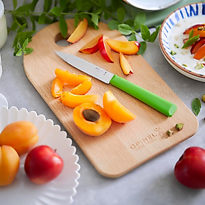 Opinel Les Essentials+ No. 312 Paring Knife, Corrosion Resistant + Dishwasher Safe, Made in France, Green