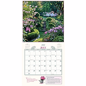 Secret Garden Wall Calendar 2022: A year of photographs that transport you to a garden sanctuary.