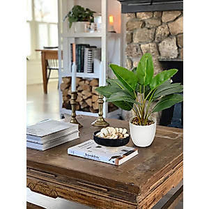 Hollyone Artificial Bird of Paradise Plant in Pot, Fake Palm Tropical Potted Plant 15" Faux Plantain Banana Leaf Plant for Indoor Outdoor Home Desk Office Garden Decoration