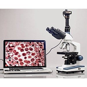 AmScope T120A Professional Siedentopf Trinocular Compound Microscope, 40X-1600X Magnification, WF10x and WF16x Eyepieces, Brightfield, LED Illumination, Abbe Condenser with Iris Diaphragm, Double-Layer Mechanical Stage, 100-240VAC