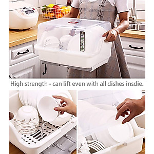 Tomorotec Medium Size Dish Drying Rack and Drain Board with Lid Cover, 16" x 12.2" x 10.6" Nursing Bottle Holder, Kitchen Plate Cup Dish Drying Rack Tray Cutlery Dish Drainer