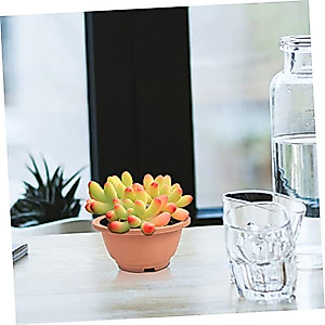 Asakkura 24 pcs Container Home Flower Training Planters Succulent Growing Gardening Bonsai Plants Garden for Nursery Round Planting Drainage Office Hole Cm Pot Cactus Plant Deep Plastic