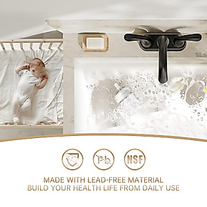 Phiestina Matte Black 4 Inch 2 Handles Centerset Bathroom Sink Faucet,2 or 3 Hole Modern ABS Plastic Bathroom Faucet,with Pop-Up Drain and Water Supply Lines, BF02008-K05-MB