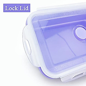 Lunbengo Purple Collapsible Sandwich Container, Silicone Lunch Container Bento Box with Plastic Lid, Microwave Safe, Camping Bowl For Meal Prep, Travel and Hiking, 40oz/1200ML