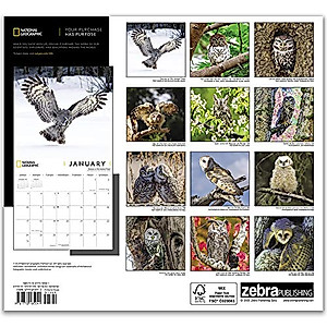 National Geographic Owls 2021 Wall Calendar