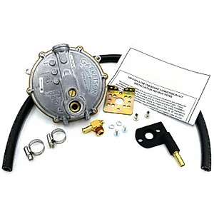 Propane Natural Gas Conversion RS8000E Generator