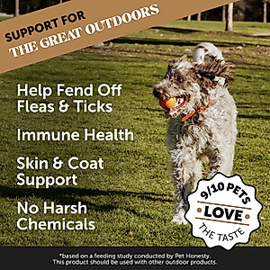 Pet Honesty Flea and Tick Prevention & Multivitamin Bundle: Natural Flea Chews & Dog Vitamins with Glucosamine for Skin and Coat (Bacon & Peanut Butter 90 ct)