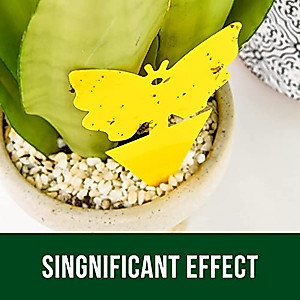 Garsum Gant Traps for Indoors,Fruit Fly Bugs Trap, Yellow Sticky Fungus Knit Killer for Houseplant,Mosquito, Flying Insert, White Flies,18 Pack