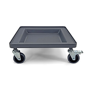 Dolly for Dish Rack and Glass Rack | 2 Wheel lock 4" | 250 lbs. max Capacity | Gray
