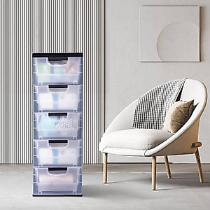Closet Organizer Storage Drawers, Medium Stationary 5-Drawer with Four Wheels, Plastic Drawer Organizer with Clear Doors for Pantry, Closet, Desk, Home and Office De-Clutter, Shoes and Crafts