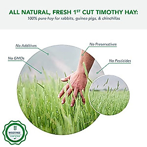 Viking Farmer 1st Cut Timothy Hay, 8 lbs