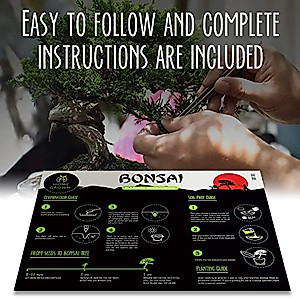 Bonsai Tree Kit, Grow Your Own: Premium 4 Bonsai Trees Starter Kit | Unique Japanese Gifts for Moms Who Have Everything, Women, Men | Gardening Plant Gift for Beginners & Gardeners, Crafts for Adults
