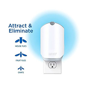 ZEVO Indoor Flying Insect Trap for Fruit Flies, Gnats, and House Flies (1 Plug-in Base + 3 Refill Cartridge)