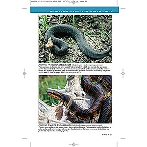 U.S. Guide to Venomous Snakes and Their Mimics