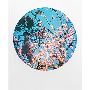 Polaroid Color Film for 600 - Round Frame (6021)