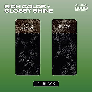 Clairol Natural Instincts Demi-Permanent Hair Dye, 2 Black Hair Color, Pack of 1