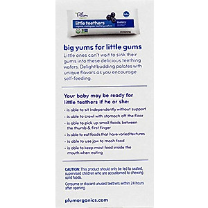 Plum Organics Little Teethers, Blueberry, 0.52 Ounce, 6 Count