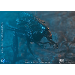 Hiya Toys Alien vs. Predator: Battle Damage Alien Queen 1:18 Scale Action Figure, Multicolor