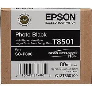Epson T850100 T850 UltraChrome HD Photo Black -Ink