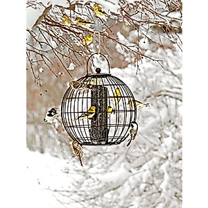 Gardeners Supply Company Globe Cage Bird Feeder | Sturdy and Squirrel Proof Outdoor Garden Hanging Hummingbird Feeder with Mixed Seeds Container | Best for Finches Nuthatches and Other Small Birds