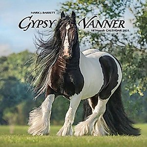 Gypsy Vanner Horse 2021 Wall Calendar