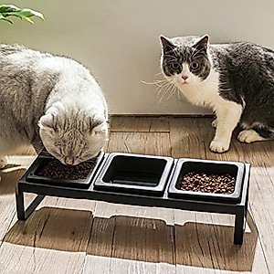 QIRAN Raised Cat Food Bowl,Elevated Cat Bowls with Stand,Ceramic Pet Feeding Bowls for Food and Water,Protect Cat's Spine,Perfect for Cats and Dogs, 12 Ounces*3,Dishwasher Safe,Triple Bowls,Black