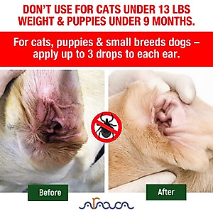 Arava Natural Ear Mite Treatment for Cats and Dogs - Effective Ear Cleaning Drops for Cat and Dog Ear Mites and Prevent Infections - NOT for Cats Under 13 LBS & Puppies Under 9 Months
