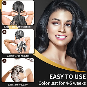 COSMTEK Black Dye Shampoo for Permanent Hair Color - Men&Women, Gray Coverage, Beard & Treated Hair, 3-In-1, 30 Days/500ml/Ammonia-Free/Natural Herbal