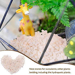 POPETPOP 1 Bag of River Rock Stones Natural Pebbles Gravel Outdoor Decorative Stones Garden Landscaping Stones Gravel Filler for Plant Aquariums Landscaping Vase Fillers