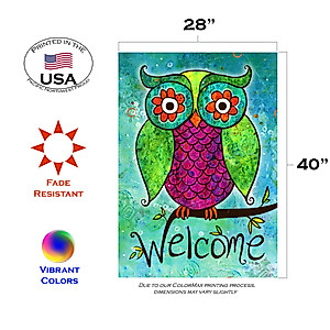 Toland Home Garden 109432 Rainbow Owl Welcome Flag 28x40 Inch Double Sided Welcome Garden Flag for Outdoor House Bird Flag Yard Decoration