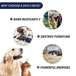 Azaeahom 43" Heavy Duty and Large Dog Crate Cage for Medium Large Dogs, High Anxiety Dog Kennel with Lockable Wheels & Removable Tray, Double Doors for Indoor Outdoor