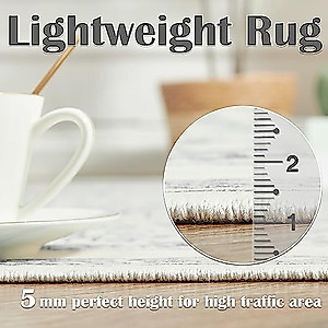 jinchan Area Rug 5x7 Rug Washable Boho Bedroom Rug Indoor Floral Print Carpet Distressed Thin Rug Accent Rug Lightweight Living Room Dining Room Kitchen Grey On Cream