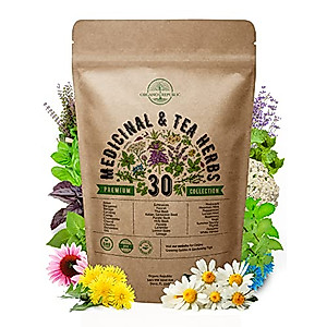 30 Medicinal & Tea Herb Seeds Variety Pack for Planting Indoor & Outdoors. 7000+ Non-GMO Heirloom Herbal Garden Seeds: Anise, Bergamot, Borage, Cilantro, Chamomile, Dandelion, Rosemary Seeds & More