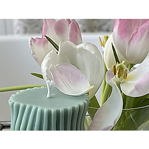 Twigs & Birch Curvy Pillar Candle (1 Pistachio Green Artisan Hand Made) | 100% Natural Unscented Soy Beeswax Candles for Gift | Smokeless Non-Toxic Air-Purifying | Canadian Made, Slow Burning 4x3