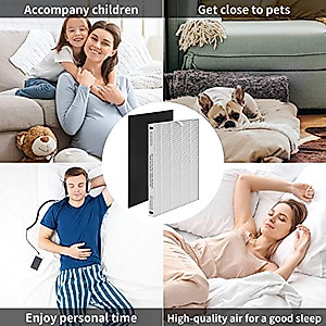 GoKBNY C545 True HEPA Replacement Filter Compatible with Winix C545, True HPEA Filter S, Part Number 1712-0096-00, 3×HEPA Filters + 6×Activated Carbon Pre-Filters