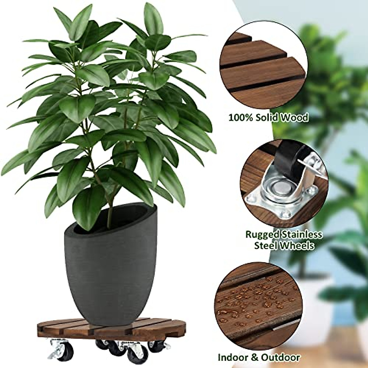 Yangbaga 2pack Plant Caddy 12’’Wood Duty Rolling Plant Stand with 2 360° Lockable Caster Wheels,Indoor Outdoor on Roller Patio/Flower Pot/Succulent Pots