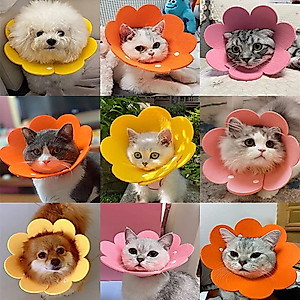 Cat Elizabeth Recovery Collar, Cat Cone After Surgery Adjustable with Sunflower Cute Collar for Cats After Surgery Cat Neck Cone to Stop Licking Cats Kittens Small Dogs