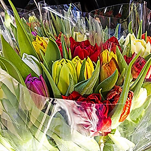 Zonon 31.5 Inch x 100 Ft Cellophane Wrap Roll Cellophane Bag Cellophane Basket Wrap with 10 Rolls Colorful Curling Ribbon Metallic Curling Balloon Ribbon for Flowers Baskets Handicraft Crafts (Clear)