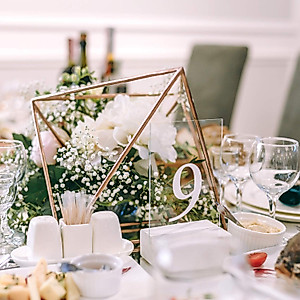 Blulu 12 Packs 5 x 7 Inch Clear Blank Acrylic Sign with Stands White and Gold Pen Set Acrylic Wedding Signs Blank with Holder Menu Table Number Display Picture Stand for Wedding Restaurant Party