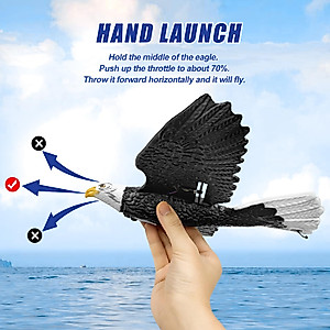 HAWK'S WORK RC Eagle, 2 CH RC Plane Ready to Fly, 2.4GHz Remote Control Airplane, Easy to Fly RC Glider for Kids & Beginners